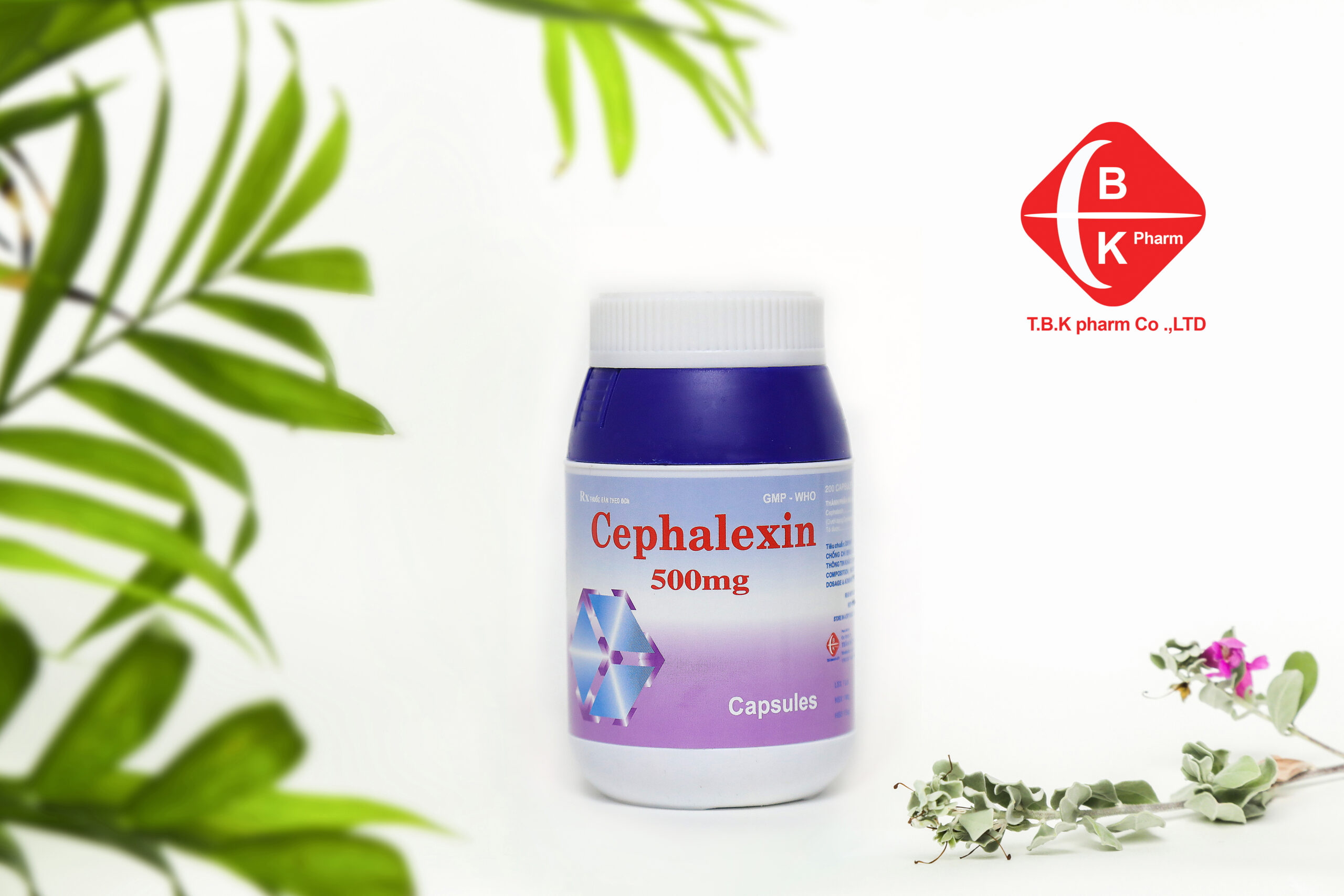 CEPHALEXIN 500mg CEPHALEXIN 500mg